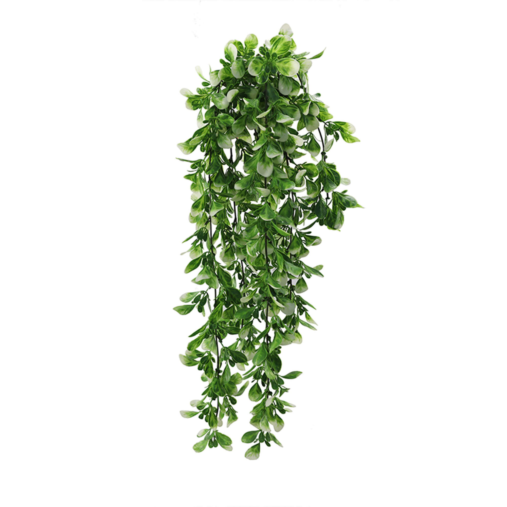 FreshFlow Green & White Jasmine Cascade – Durable Design Outdoor Proof – Designer Vertical Gardens