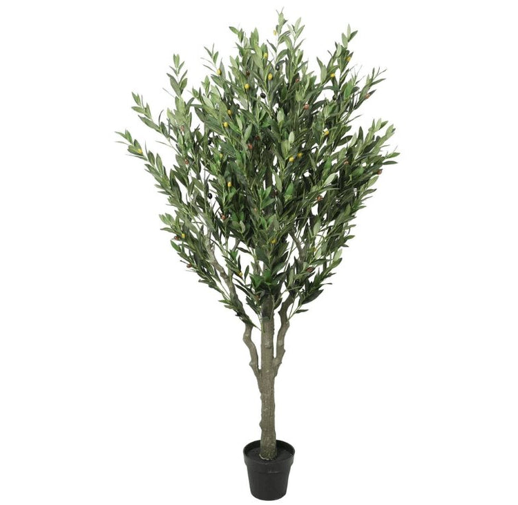 DIY Fake Olive Tree: Everything You Should Know – Designer Vertical Gardens