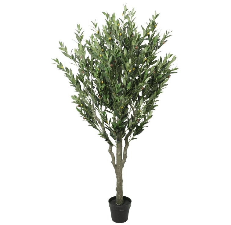 DIY Fake Olive Tree: Everything You Should Know – Designer Vertical Gardens