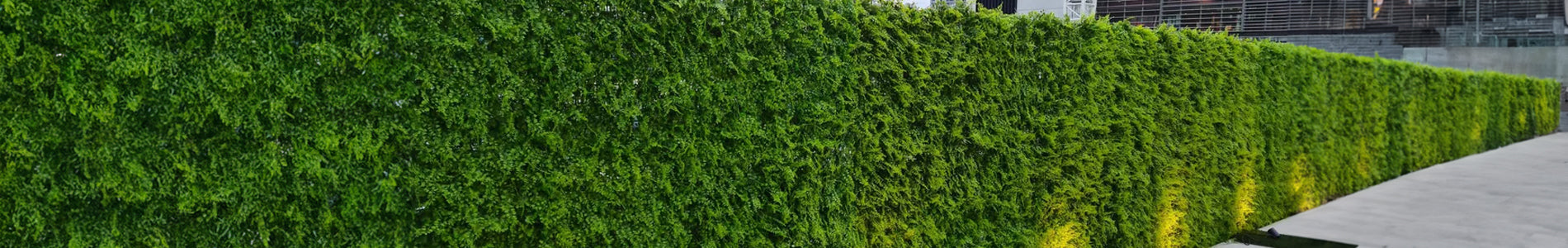 Artificial Moss Walls & Fake Moss Rolls (Free Delivery) – Designer ...