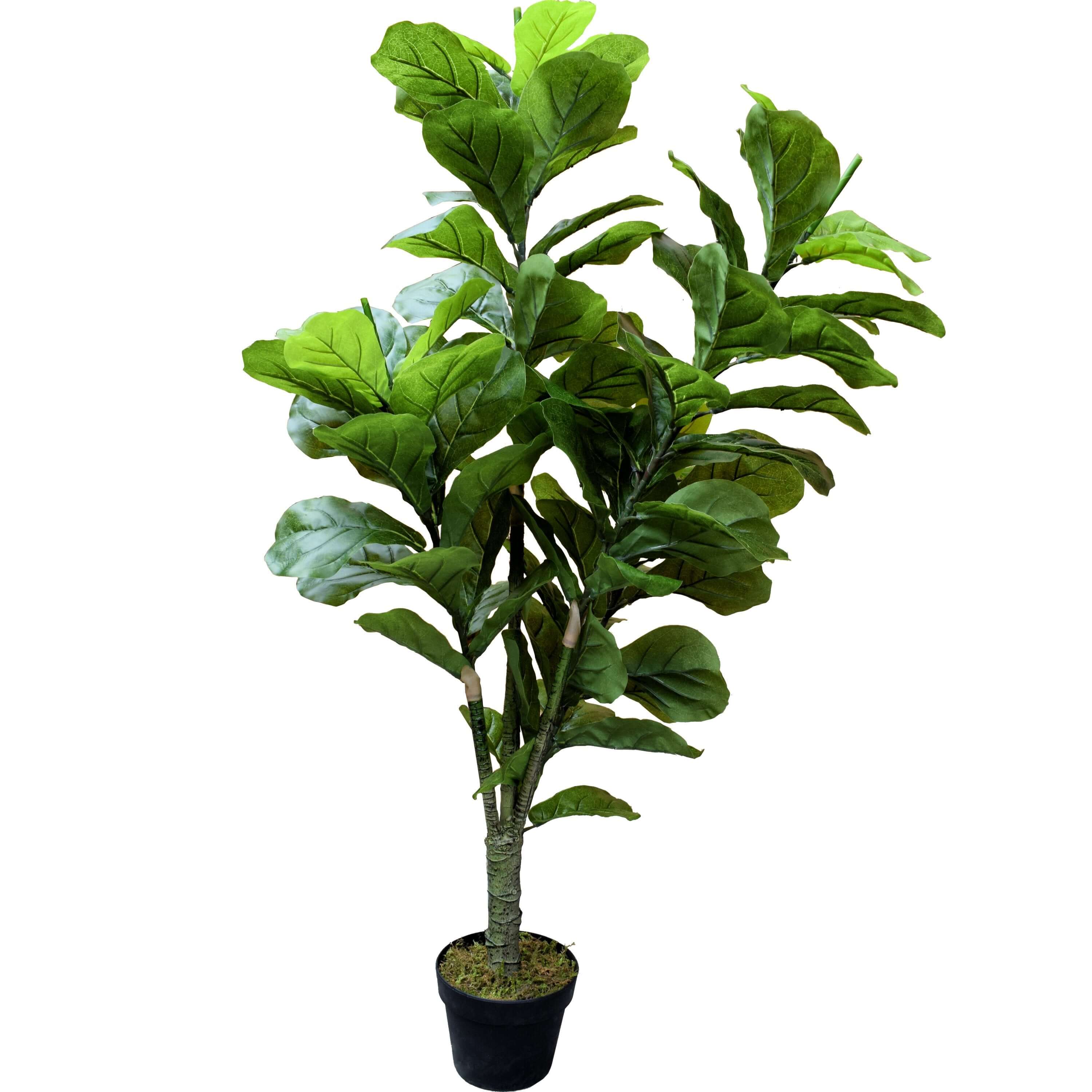 Artificial Fiddle Figs & Faux Fig Trees (Free Delivery) – Designer ...