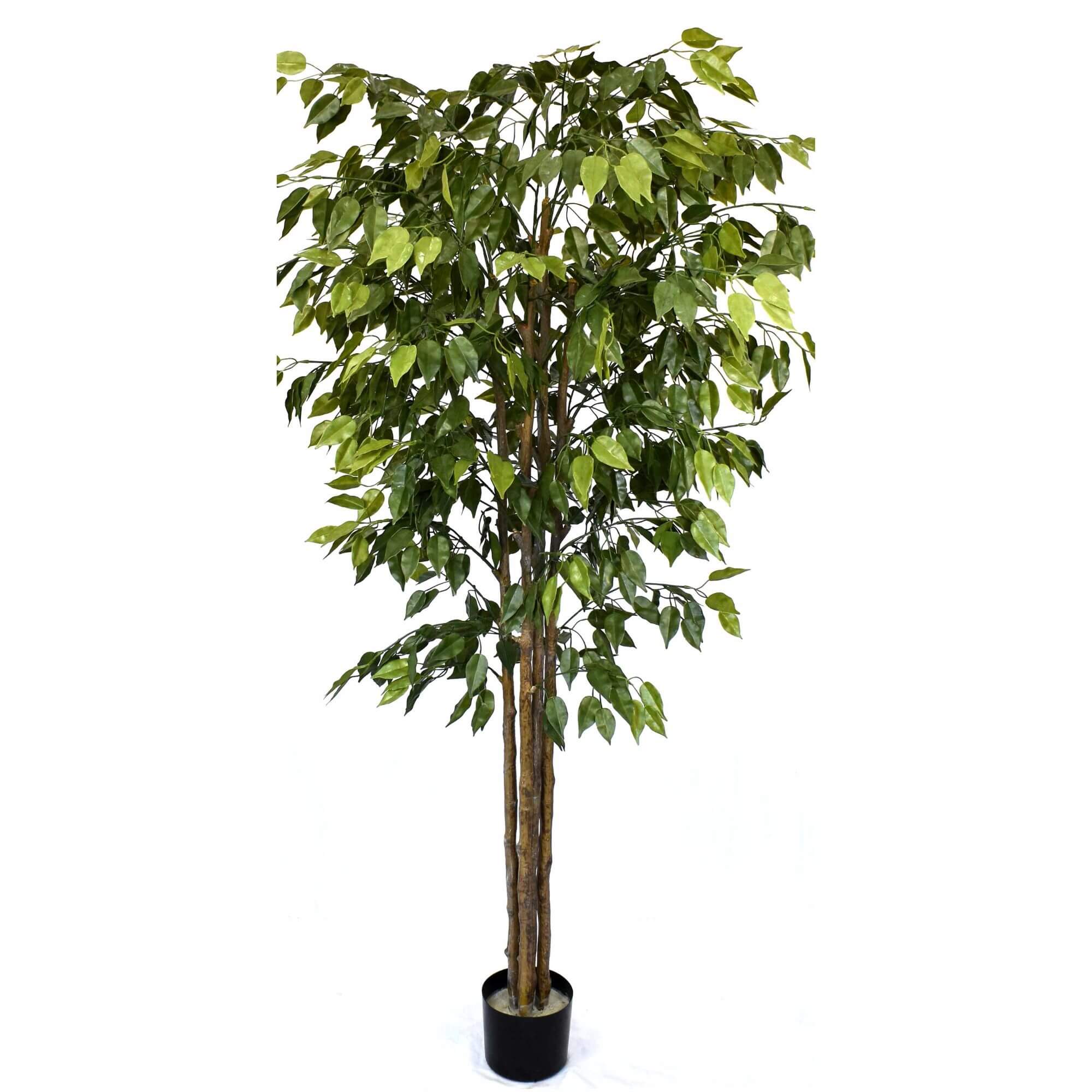 High Quality Artificial Big Trees (Free Fake Plant Delivery) – Designer ...