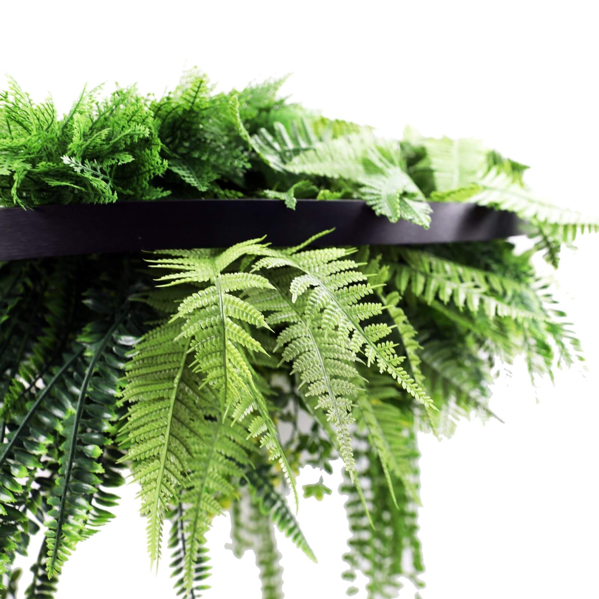 Black Artificial Hanging Green Wall Disc 80cm UV Resistant – Designer ...