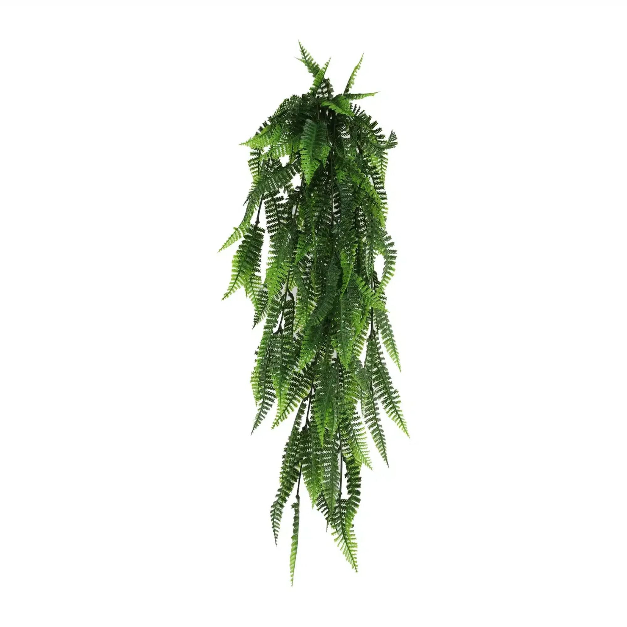 EverLush Bracken Fern Vine – Outdoor-Safe 77cm – Designer Vertical Gardens