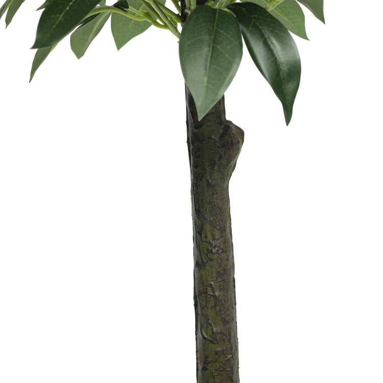 High Quality Artificial Big Trees (Free Fake Plant Delivery) – Designer ...