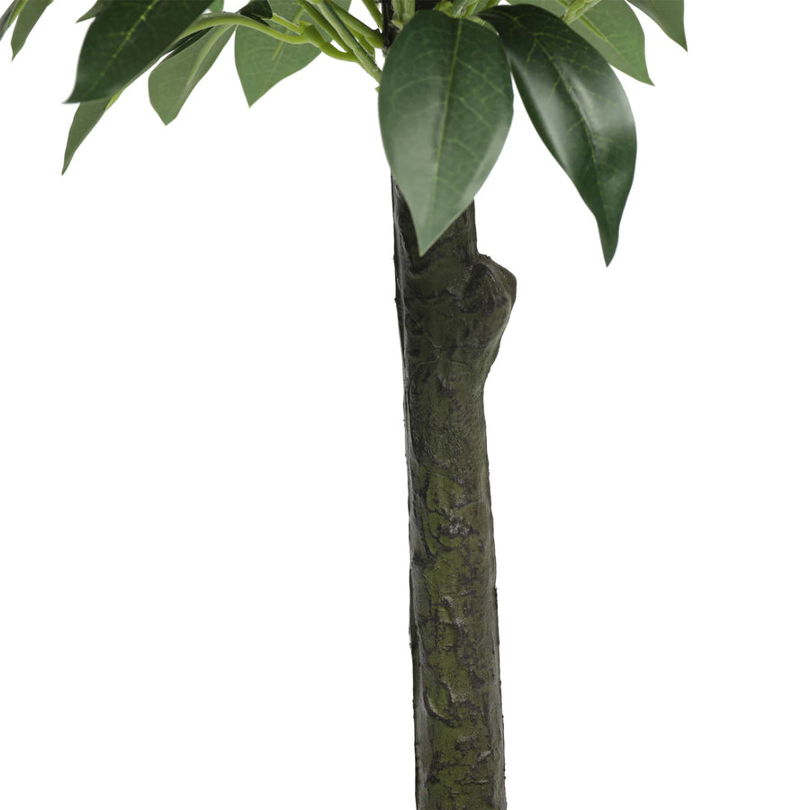 High Quality Artificial Big Trees (Free Fake Plant Delivery) – Designer ...