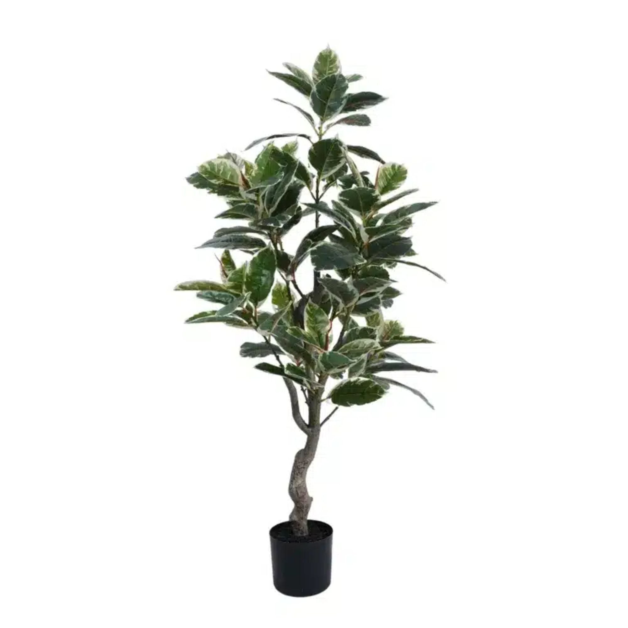 Artificial Bushy Variegated Ficus Tree (Rubber Tree) 120cm – Designer ...