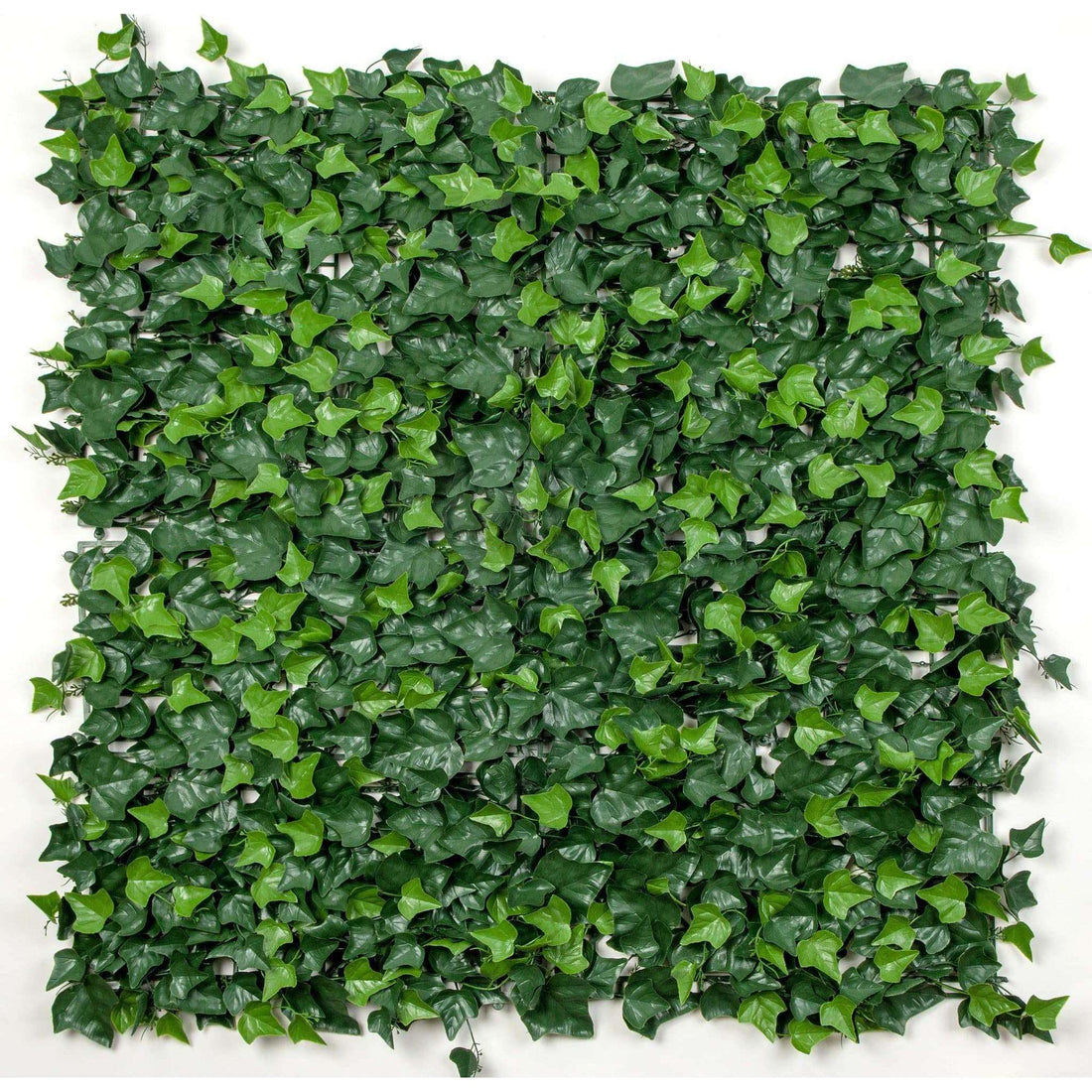 Quality Fake Ivy Rolls & Artificial Ivy Panels / Moss Rolls – Designer ...