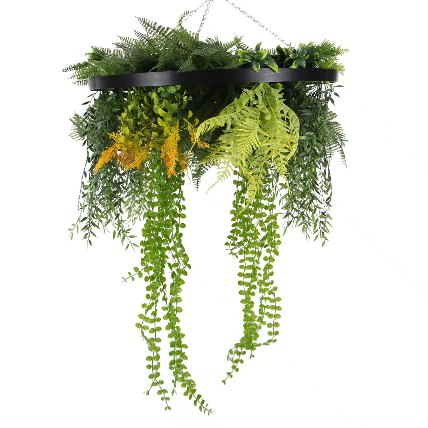 Black Framed Roof Hanging Disc With Draping Life-Like Plants 60cm ...