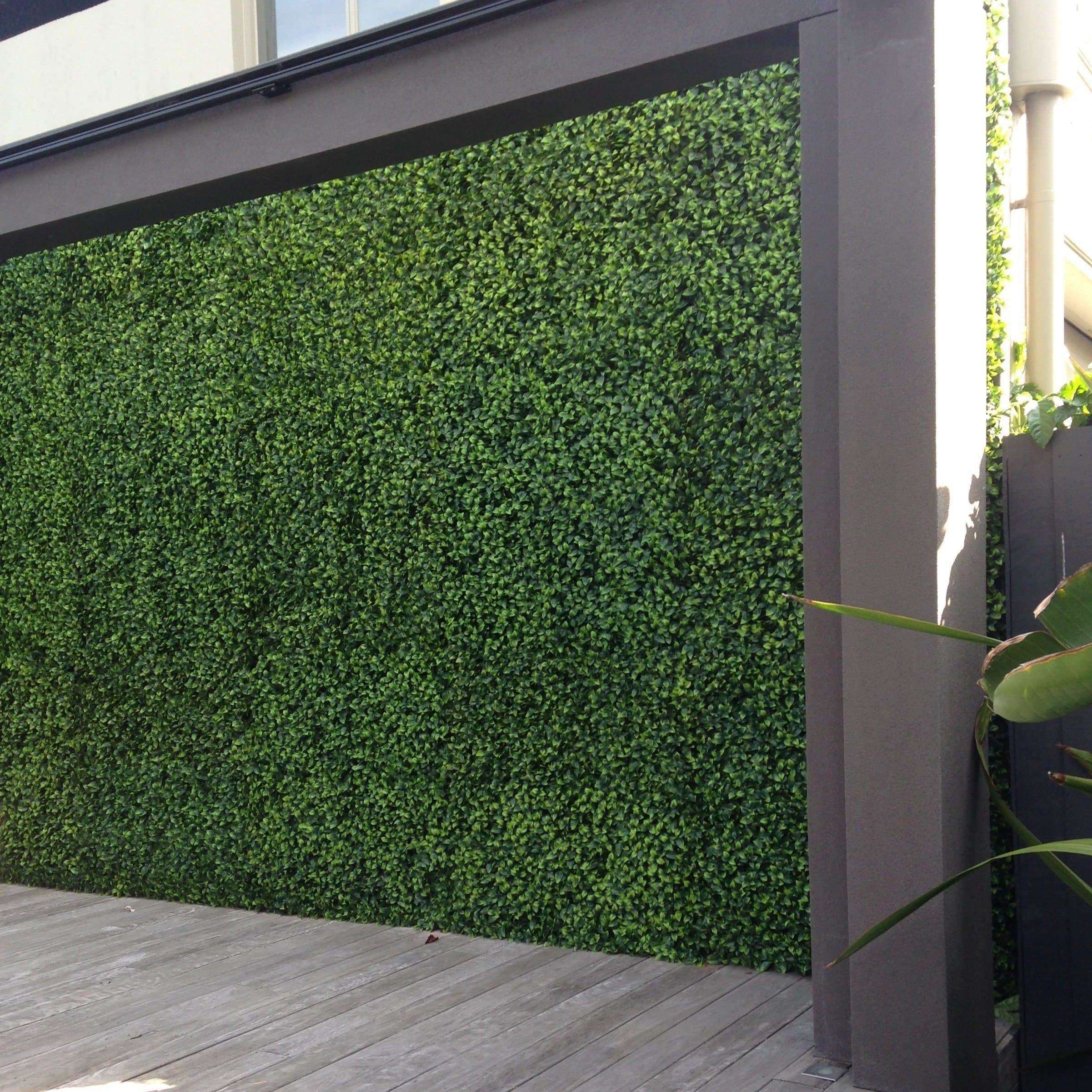 Jasmine Artificial Hedge Screen / Green Wall Panel 100cm x 100cm UV Re ...