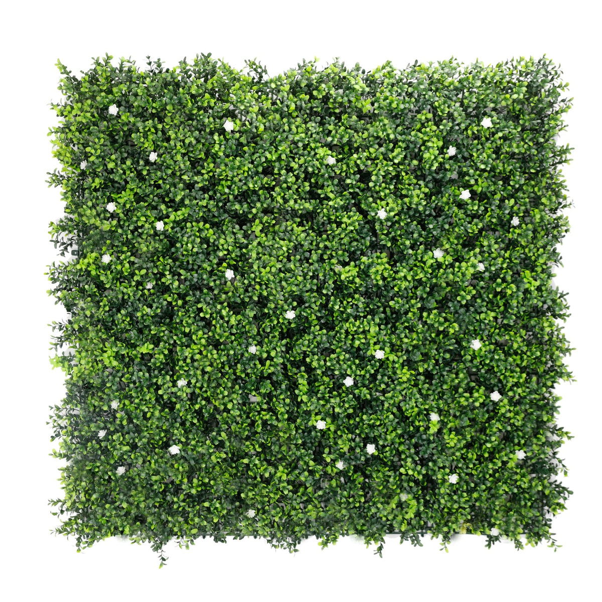 Luxury Flowering Artificial Buxus Hedge Panel UV Resistant 1m X 1m ...