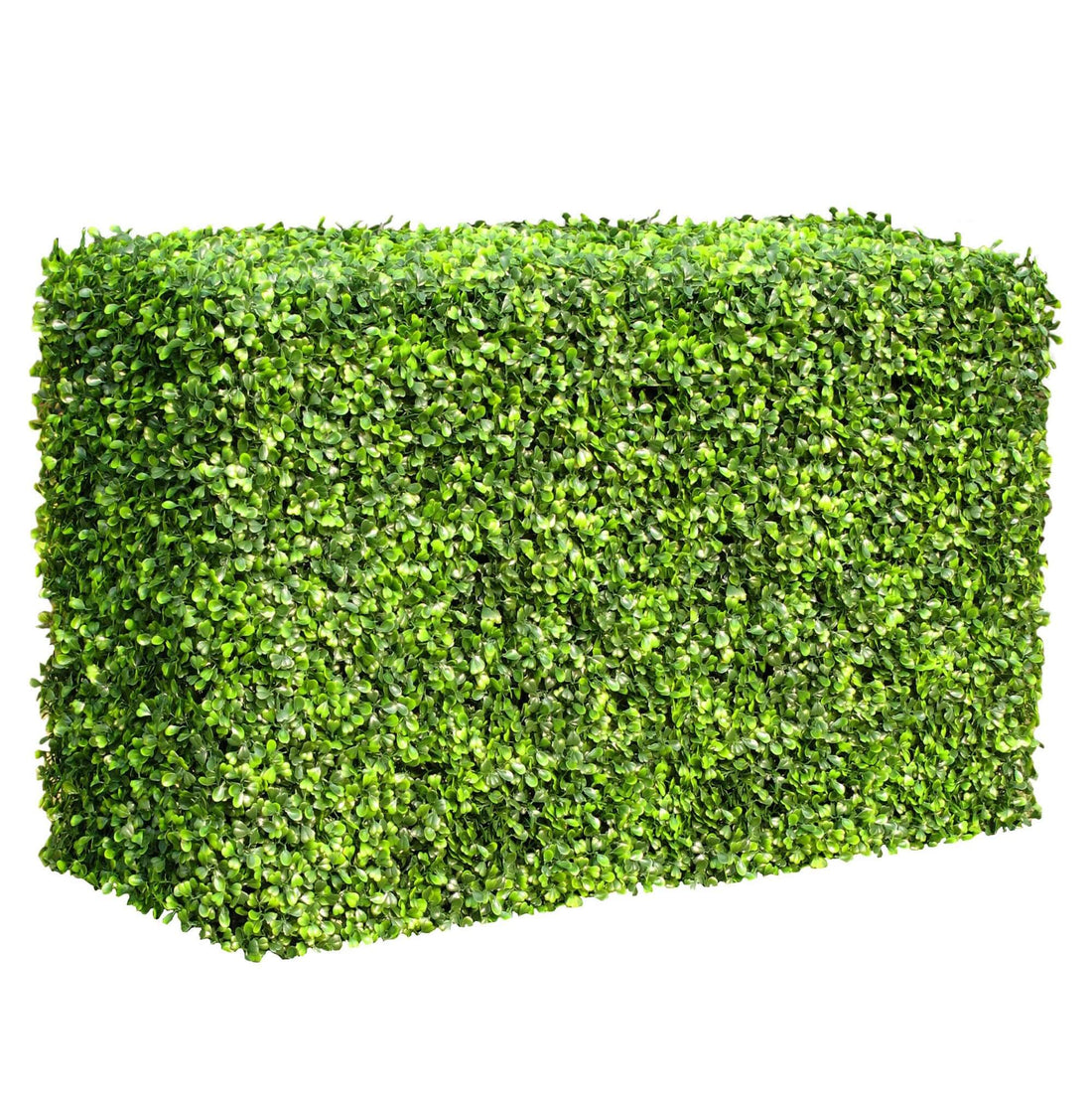 Buy Portable Artificial Hedge Plants Online | Amazing Prices – Designer ...