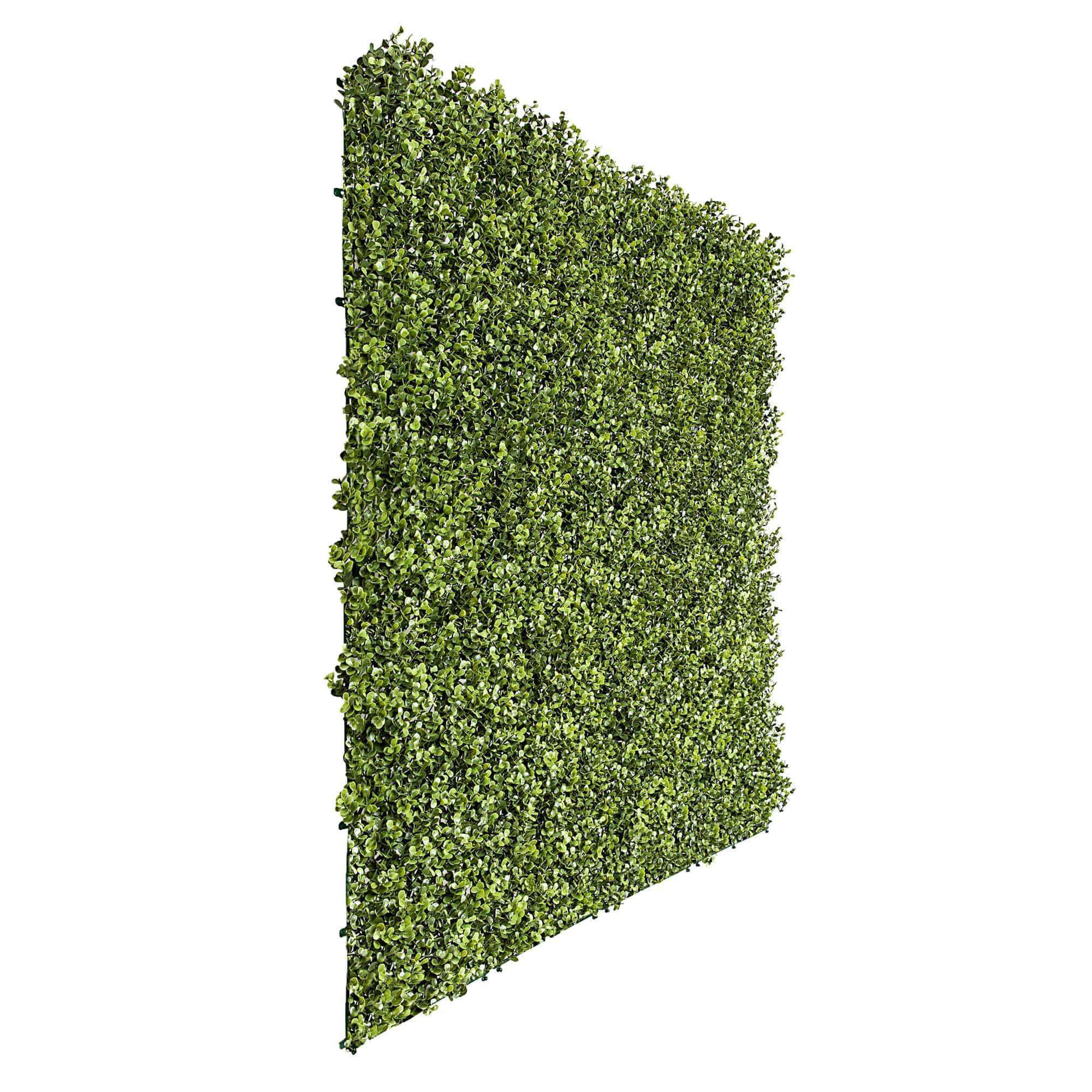 Premium Natural Buxus Artificial Hedge Panel 1m x 1m UV Resistant ...