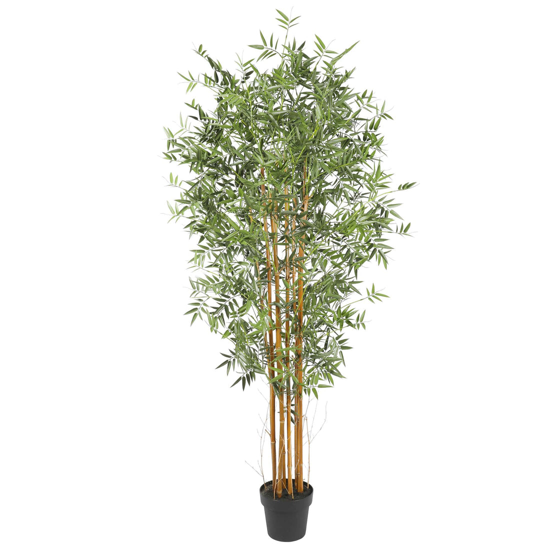 Buy Artificial Bamboo Plants Online in Australia | Fake Bamboo Plants ...